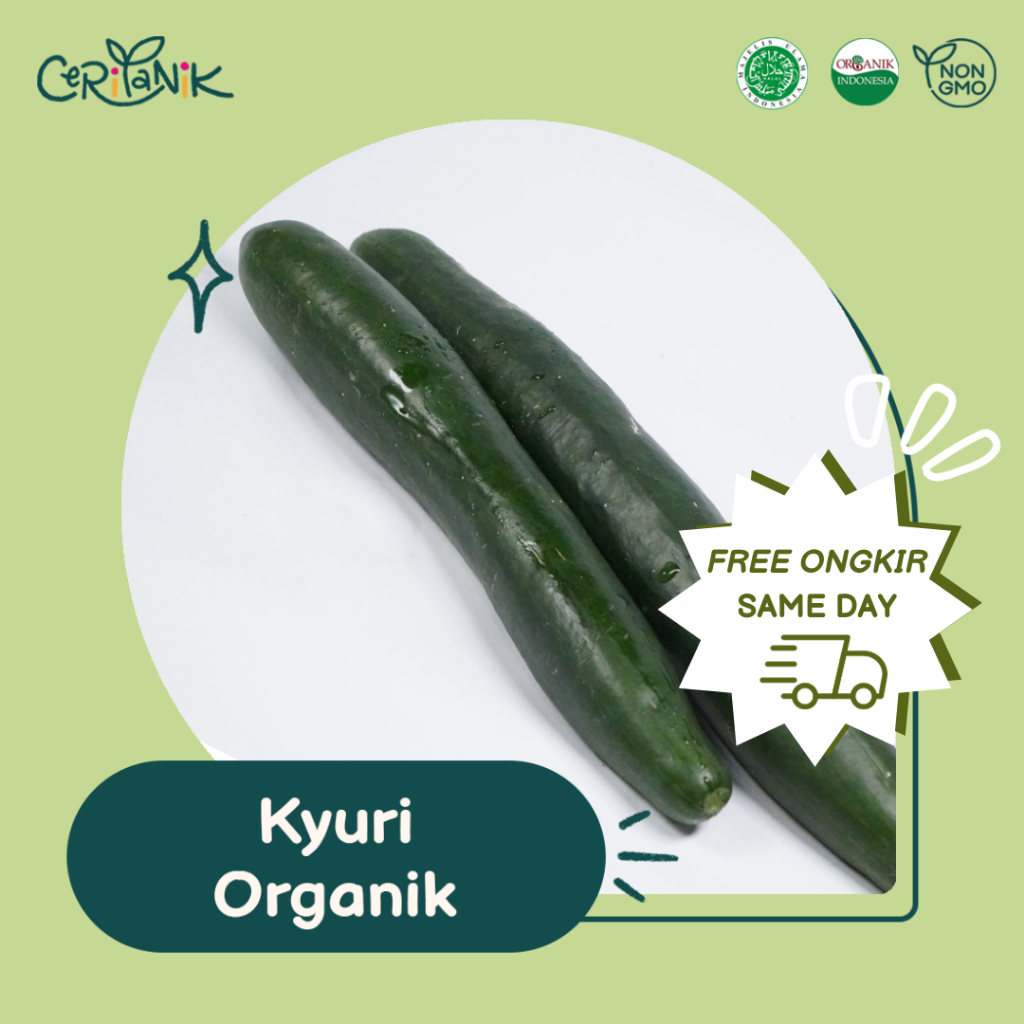 Jual Kyuri Timun Jepang Organik 500 gram - Ceritanik - Kyuri Organic ...