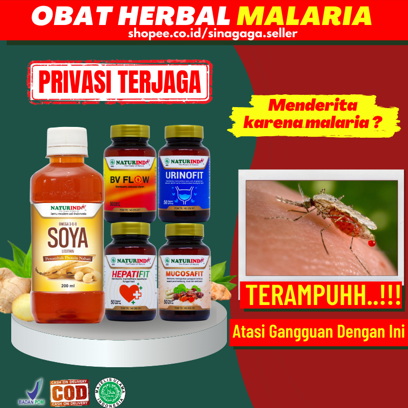 Jual Obat Herbal Demam Berdarah Dengue Malaria DB Debe Infeksi Gigitan ...