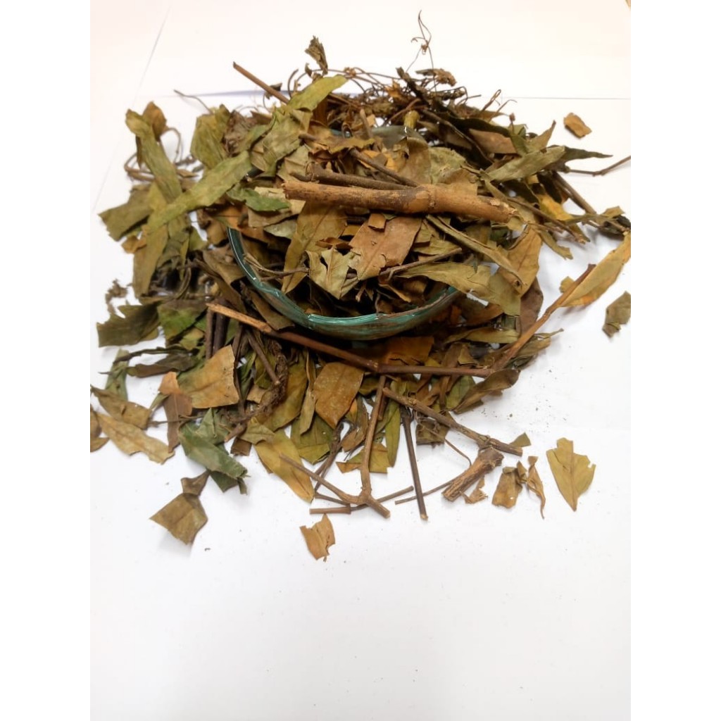 Jual Daun Gandarusa Kering / Kisi Kisi / Justicia gendarussa 1kg ...
