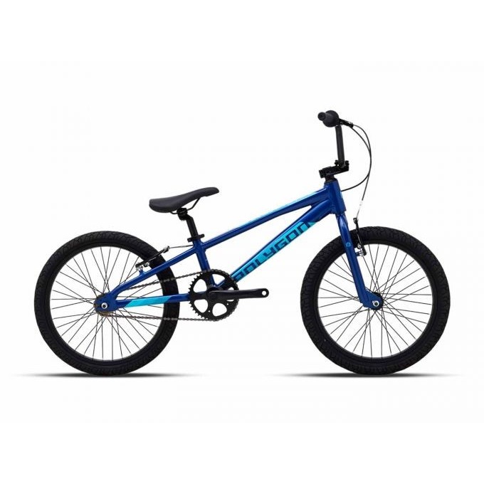 Jual Polygon Sepeda Anak BMX Rogue | BMX Junior | Shopee Indonesia