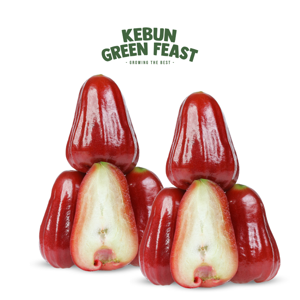 Jual Jambu Madu Merah | Shopee Indonesia