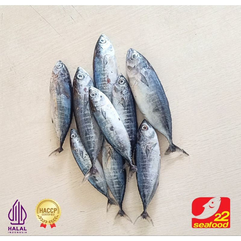 Jual Ikan Baby Tuna 1 kg / Baby Tuna Beku Kapal / Seafood 22 | Shopee ...