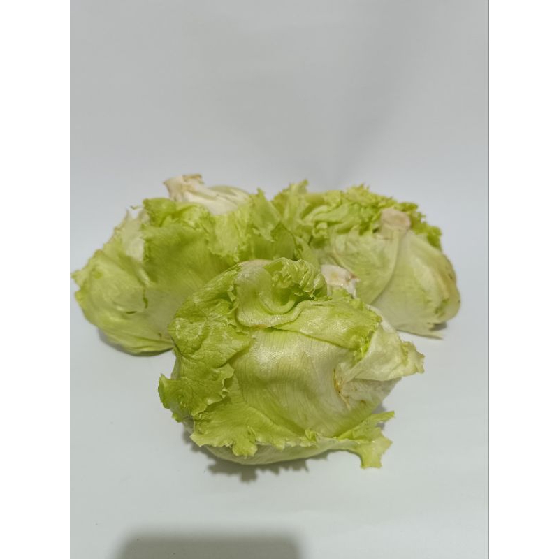 Jual Sayur lettuce segar 1kg/ sayur kebab/bahan kebab tangerang ...