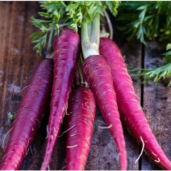 Jual Benih Bibit Wortel Ungu Purple Carrot Cosmic Organik Isi 50 Biji ...