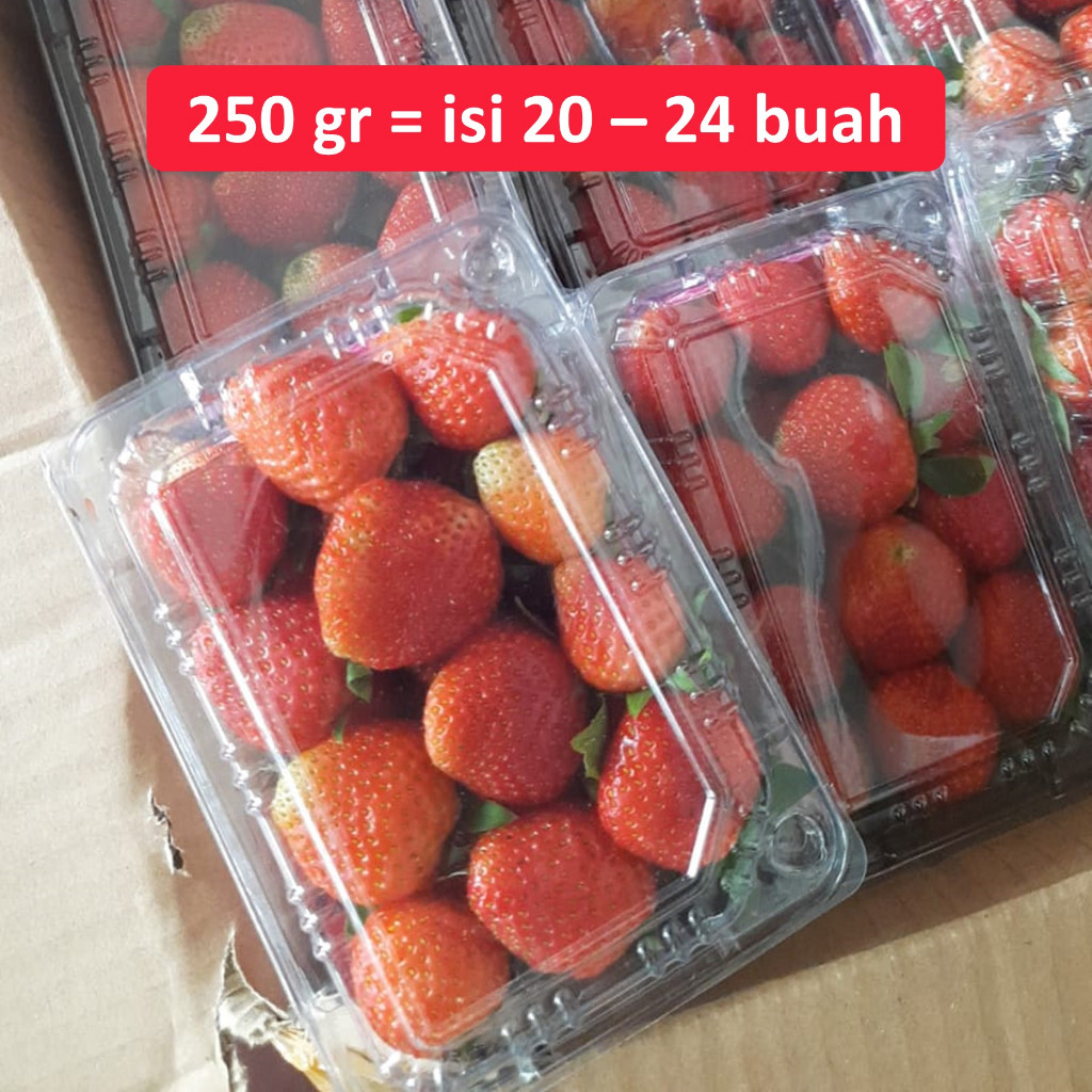 Jual Strawberry Fresh 500gr Premium Grade A Jumbo Panensegar Stroberi ...