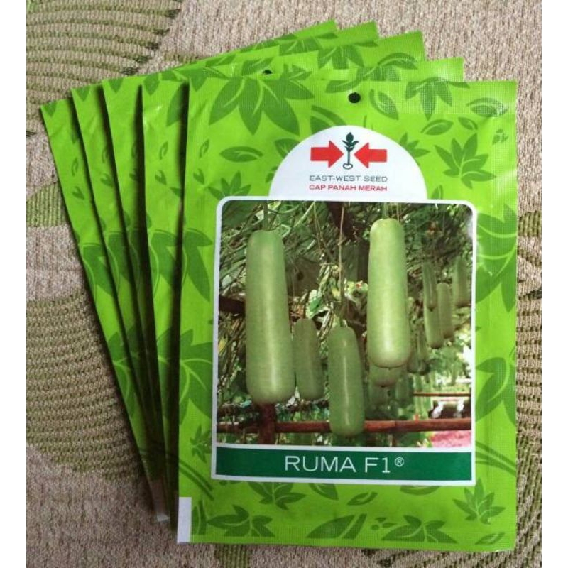 Jual Benih Bibit Labu Air Ruma satu butir satu biji Kadaluarsa 2026 ...