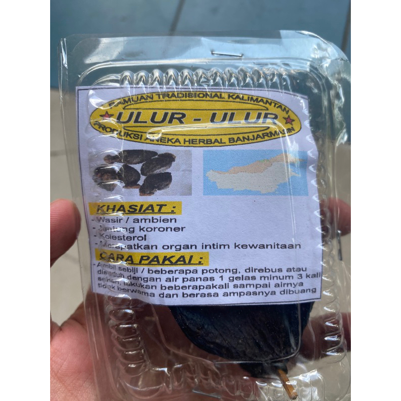 Jual Ramuan Tradisional Kalimantan Ulur Ulur Obat Ambien | Shopee Indonesia