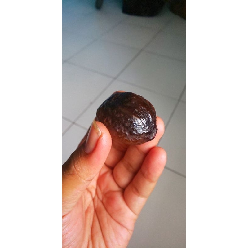 Jual Kemiri Muncang Adu Eti Sambong | Shopee Indonesia