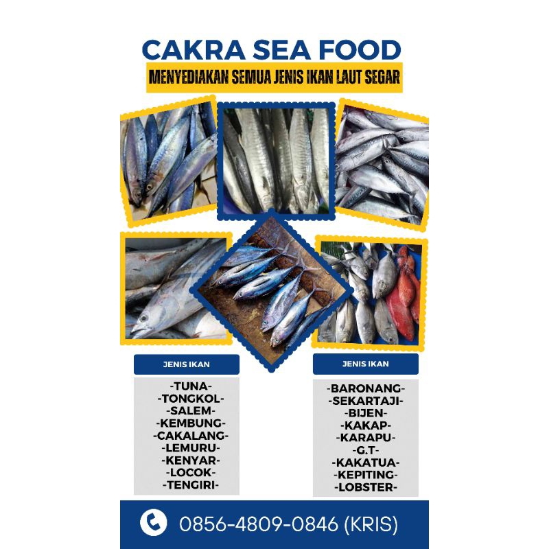Jual ikan segar 1kg tuna, tongko, tengiri, cakalang | Shopee Indonesia
