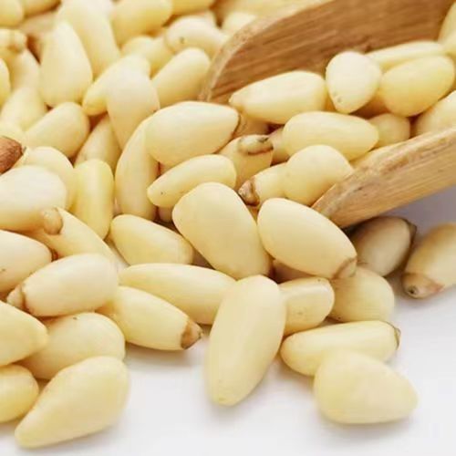 Jual Raw Pine nut / Kacang pinus mentah 100 gr | Shopee Indonesia