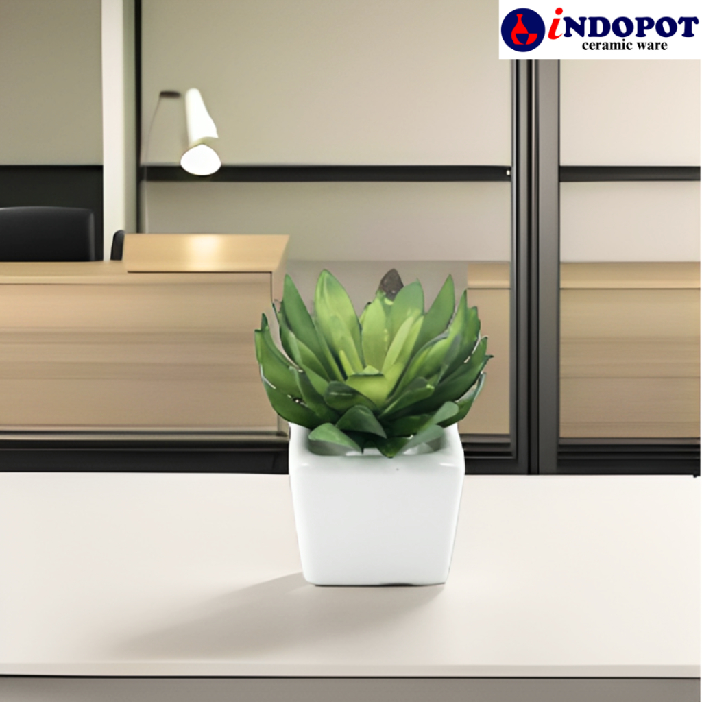 Jual POT KERAMIK BUNGA SUKULEN BENTO KUBUS TANAMAN MINI | Shopee Indonesia