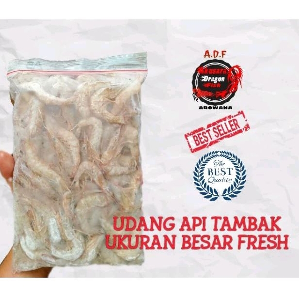 Jual Udang Api Beku Fresh Ukuran Besar Pakan Ikan Konsumsi dsb | Shopee ...
