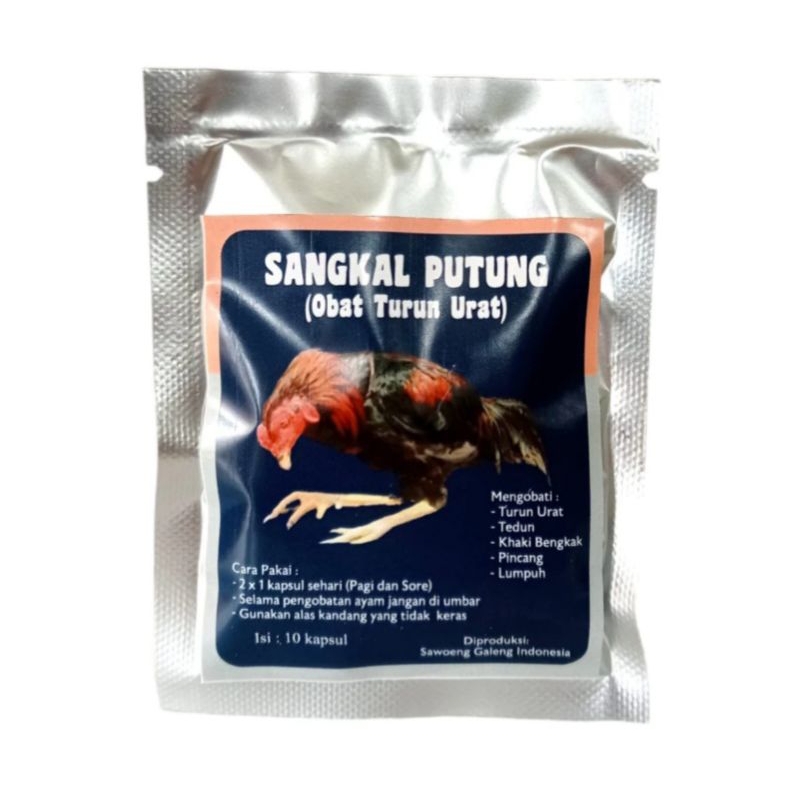 Jual SANGKAL PUTUNG 10 KAPSUL OBAT TURUN URAT TEDUN KAKI BENGKAK ...