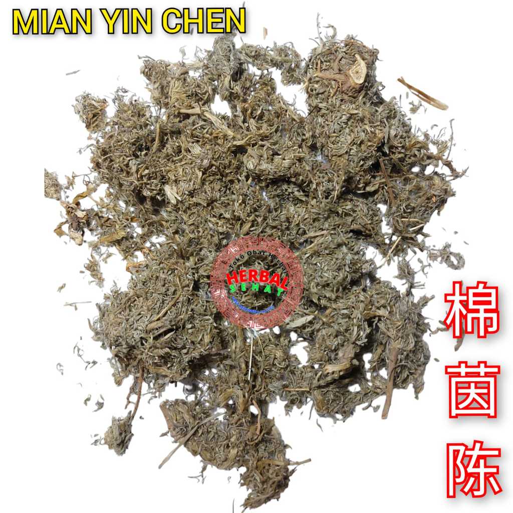 Jual Mian Yin Chen Hao Artemisia Wormwood 100gram | Shopee Indonesia