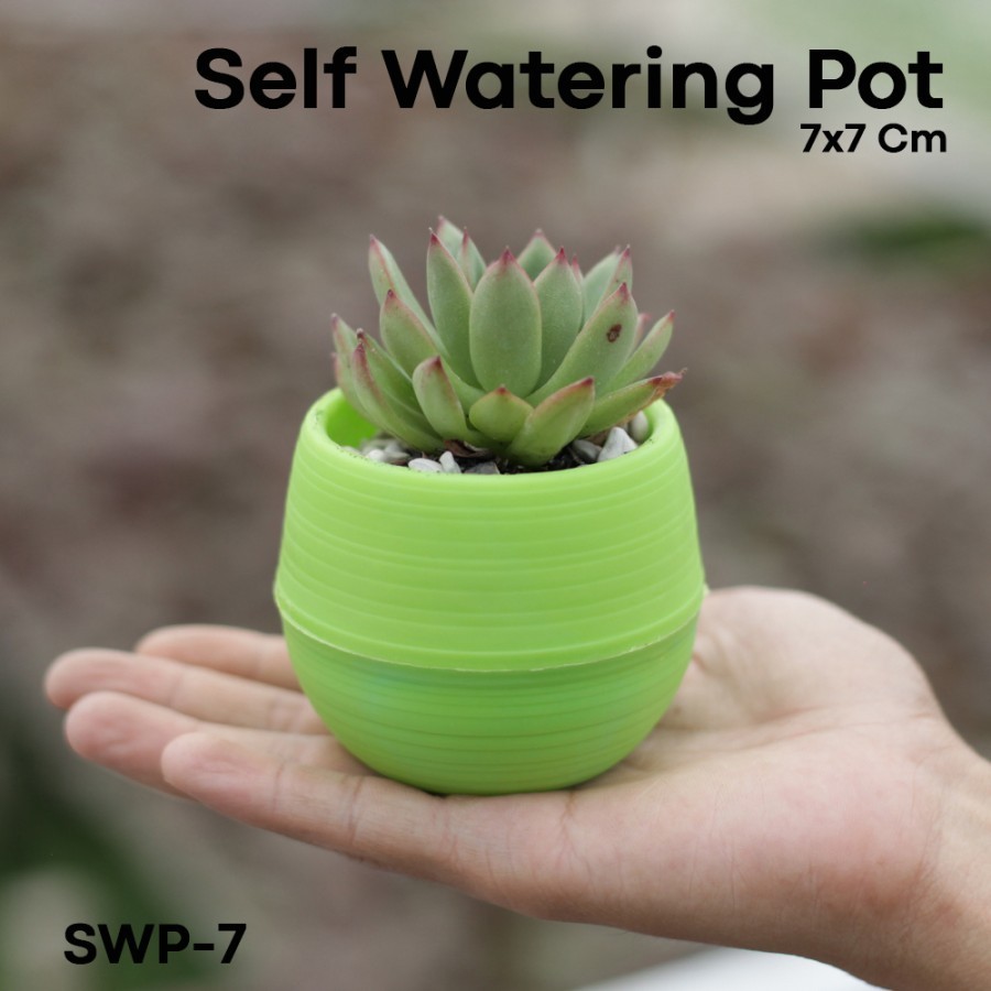 Jual Pot Murah Pot unik Pot tanaman hias Self Watering Pot 7x7 Cm ...