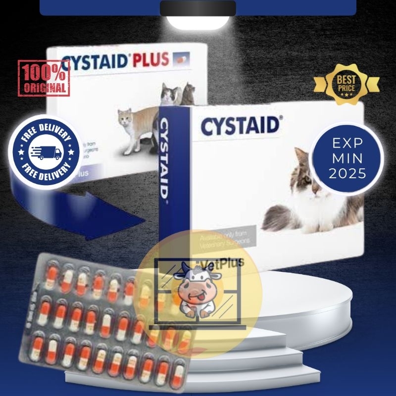 Jual CYSTAID PLUS ECER 1 KAPSUL - Obat Untuk Gangguan Kencing dan ...