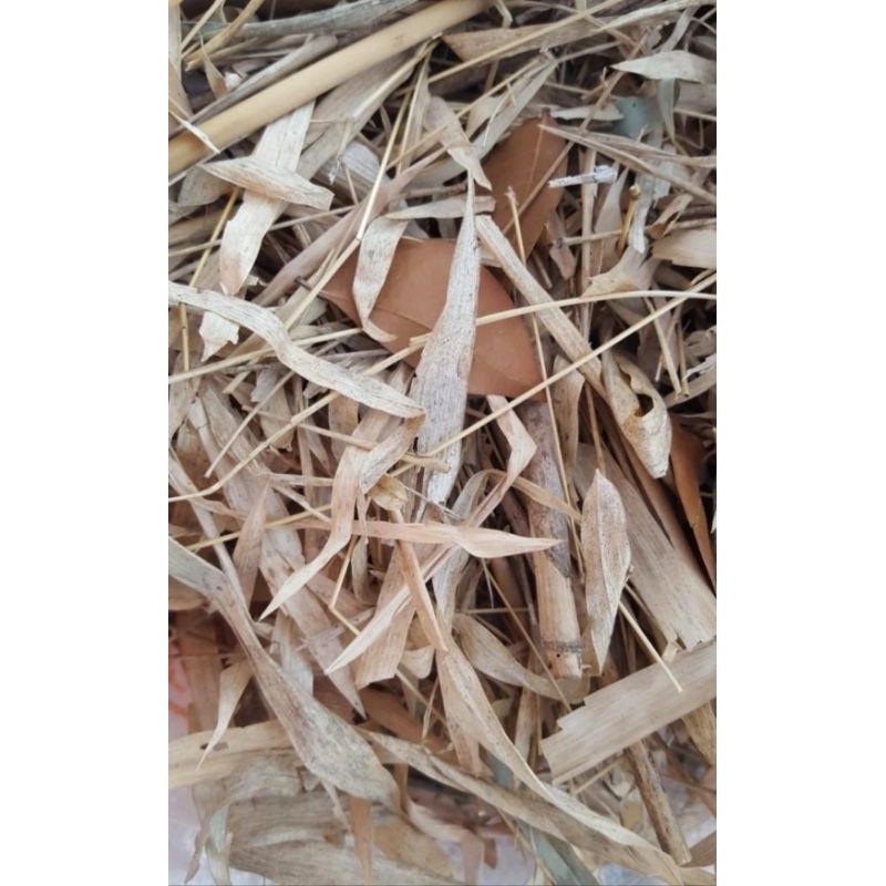 Jual DAUN BAMBU KERING 1KG | Shopee Indonesia