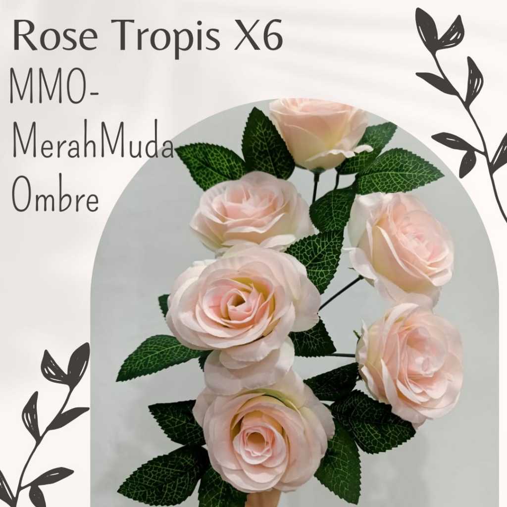 Jual Bunga Mawar Rose Tropis Cabang 6 / Ecer RT6 | Shopee Indonesia