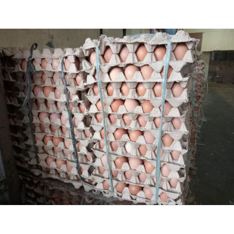 Jual TELUR AYAM SATU IKAT 10KG MURAH HARGA GROSIR | Shopee Indonesia
