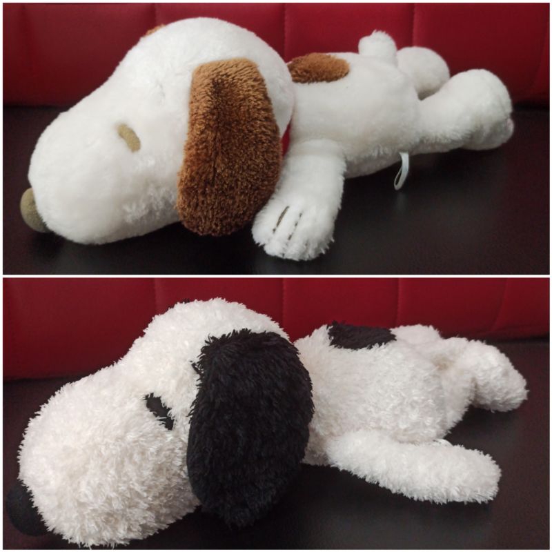 Jual Boneka Snoopy Peanuts Universal Studios Japan Albino Klasik BW Medium | Shopee Indonesia