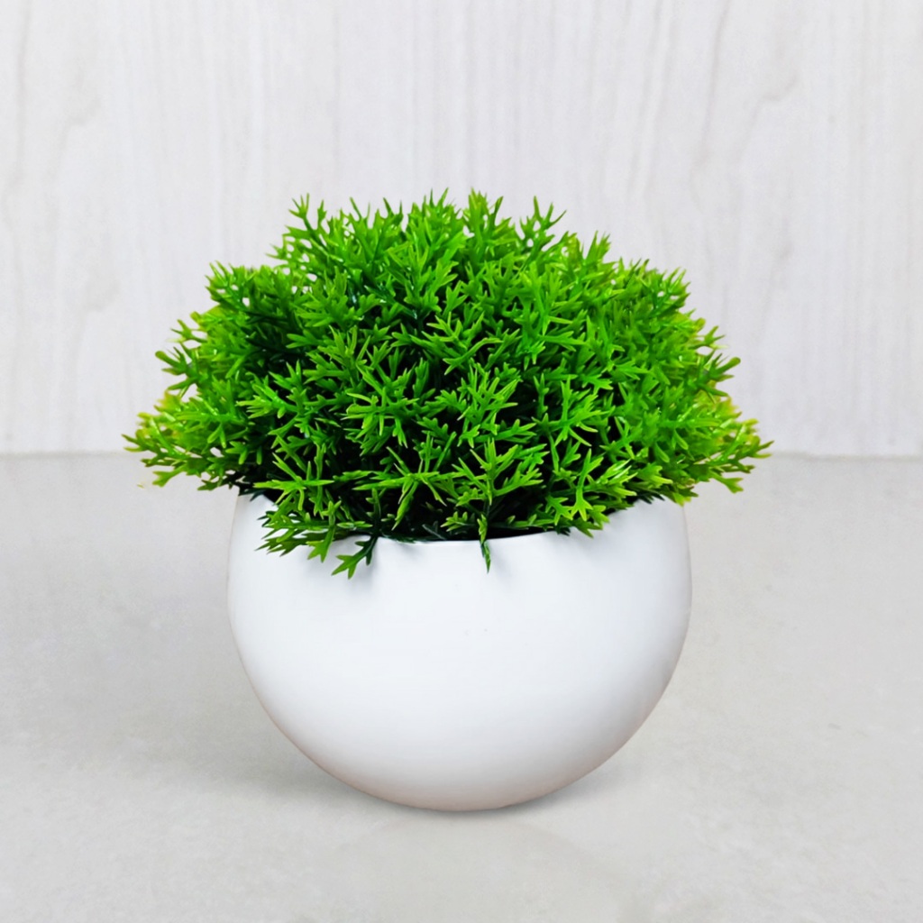 Jual UNICO Pot Bunga Plastik Hias Mini Import Termurah Bunga Rumput ...