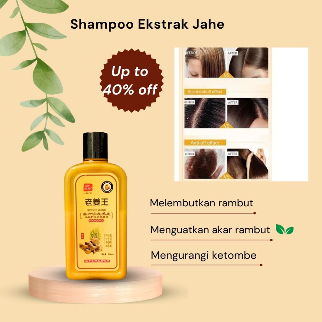 Jual GINGER WANG Shampo Jahe Penumbuh Rambut Tebal Anti Ketombe Gatal ...