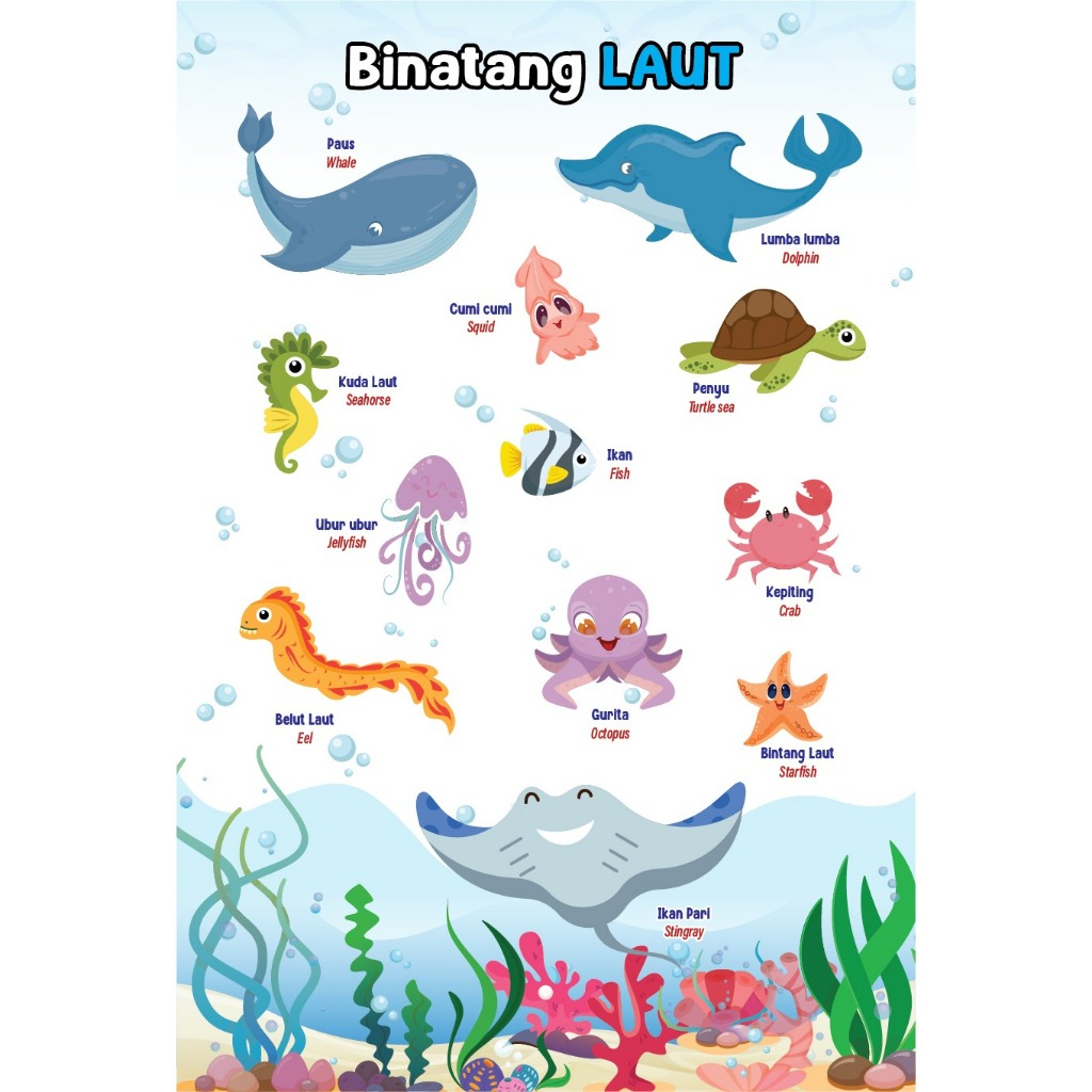 Jual Poster Edukasi Macam Macam Binatang Laut, Binatang Ternak, Poster ...