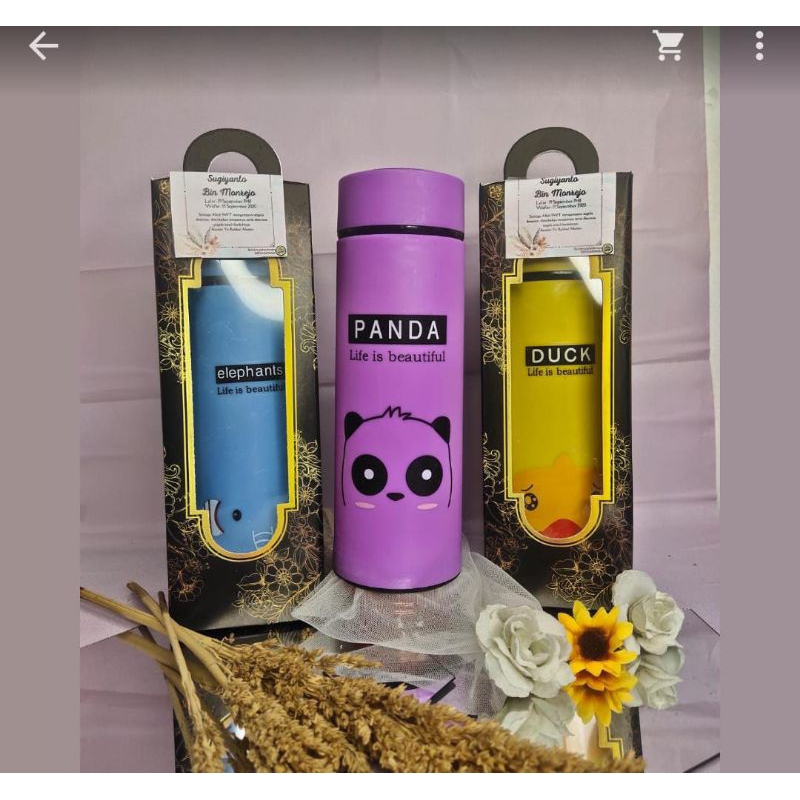 Jual Souvenir botol box | Shopee Indonesia