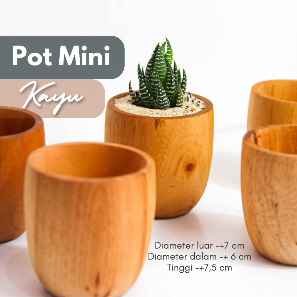 Jual Pot Kayu Mini Aesthetic Diameter 7 cm - Cocok Untuk Semua jenis ...