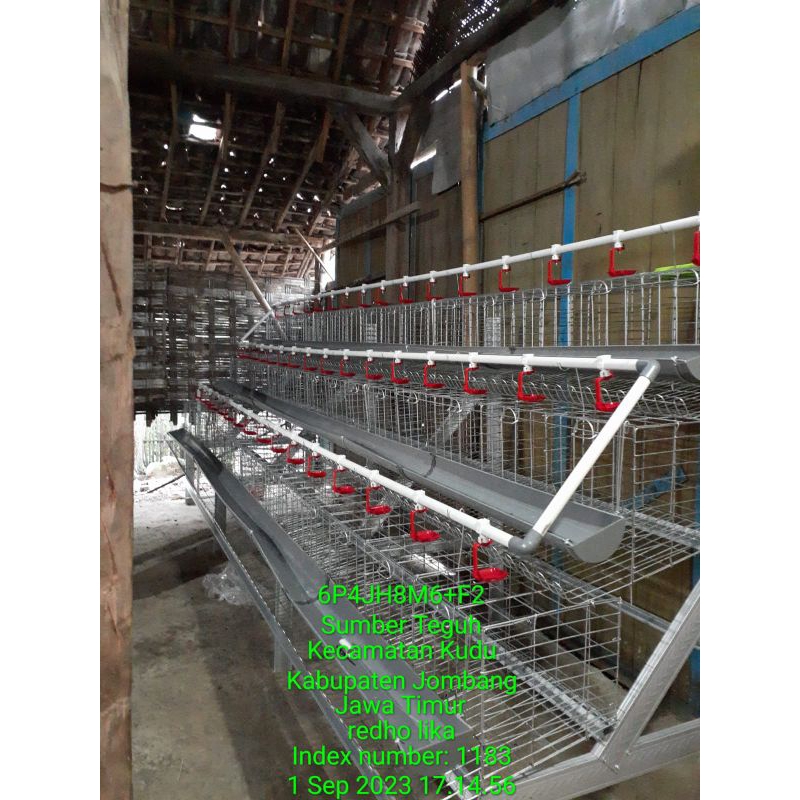Jual Batre Kandang Ayam petelur | Shopee Indonesia