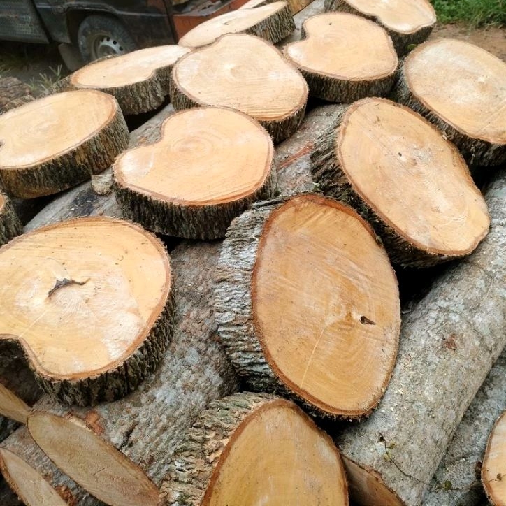 Jual talenan kayu asem jawa asli diameter 50cm tebal antara 6-7cm ...