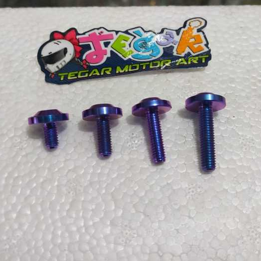 Jual Baut titanium gr5 Drat 10 atau m6 BigHead Lengkap Berbagai Ukuran ...