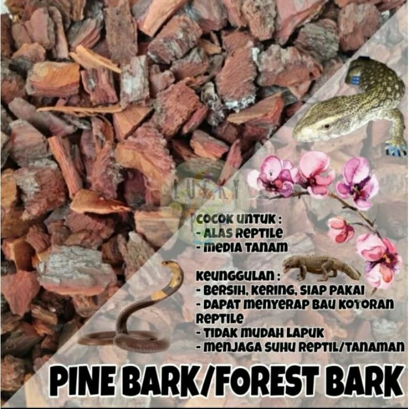 Jual PINE BARK STERIL 1 liter, kulit pinus cacah, media tanam anggrek ... Jual PINE BARK STERIL 1 liter, kulit pinus cacah, media tanam anggrek ...