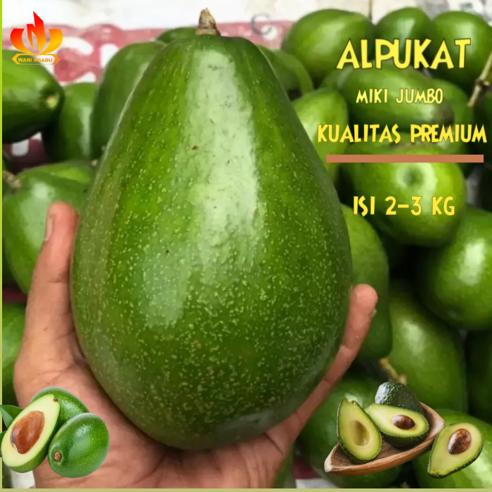Jual Buah Alpukat Miki Fresh Segar Jumbo 1 kg Isi 2–3 Daging Tebal ...