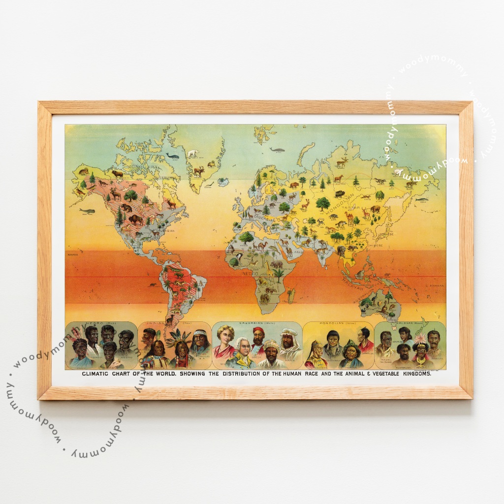 Jual Vintage Poster Geografi - Geography Educational Wall Art ...