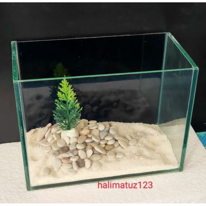 Jual Aquarium mini Aquascape kaca asahi | Shopee Indonesia