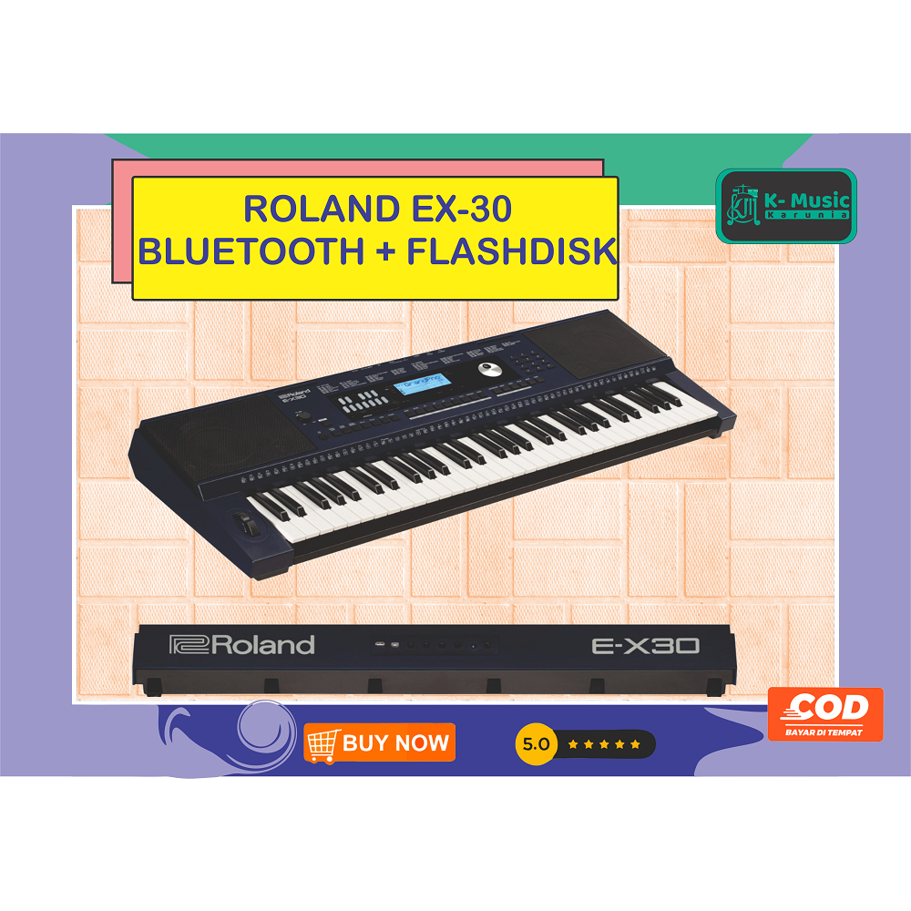 Jual Arranger Keyboard Roland E-X30 EX30 EX-30 type USB Flashdisk ...