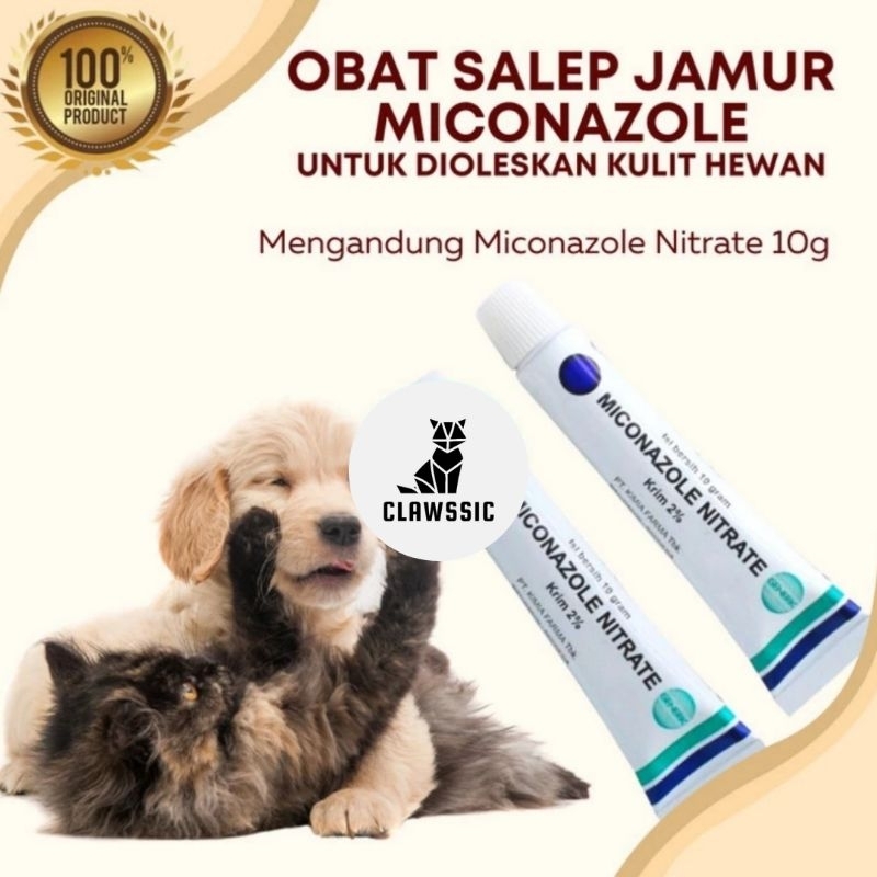Jual Miconazole Nitrate 2% Obat Jamur Anabul Salep Oles Luka Infeksi ...