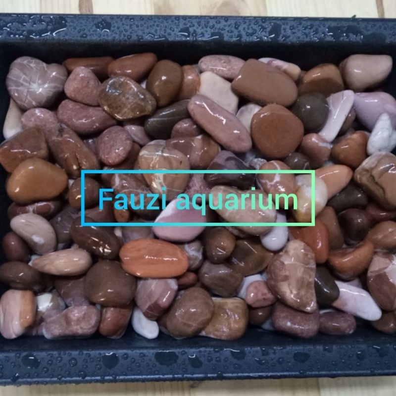 Jual BATU HIAS KOLAR MERAH HATI PER 1 KG | Shopee Indonesia