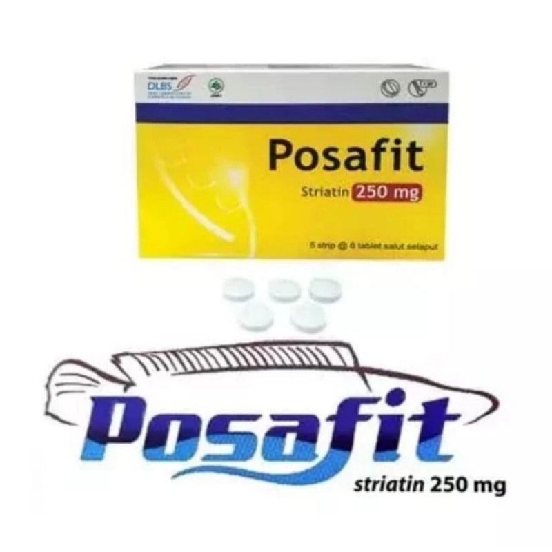 Jual POSAFIT dan HIU SARI KUTUK — Suplemen Albumin Alami — Mempercepat ...