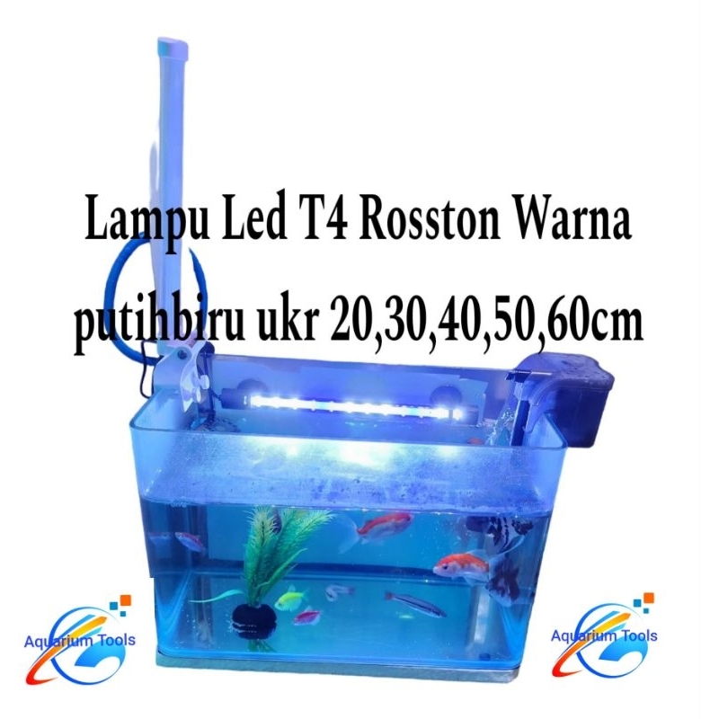 Jual Lampu Led Celup Rosston T4 Biru Putih Ukr 20,30,40,40,50,60cm | Shopee Indonesia