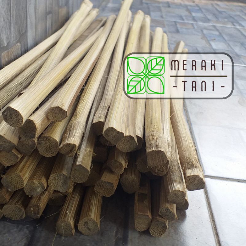 Jual Ajir Turus Plant Stack Bambu Raut 1 meter | Shopee Indonesia