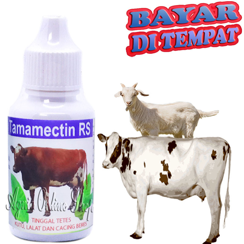 Jual OBAT SAPI KAMBING ANTI KUTU TETES PENGHILANG PARASIT BAKTERI LALAT ...