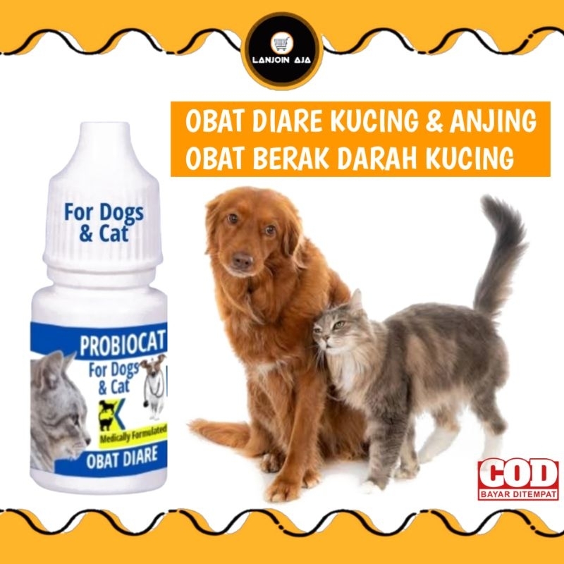 Jual Obat Mencret Kucing 10 ML / Obat Diare Kucing Anjing 10 ML Obat ...