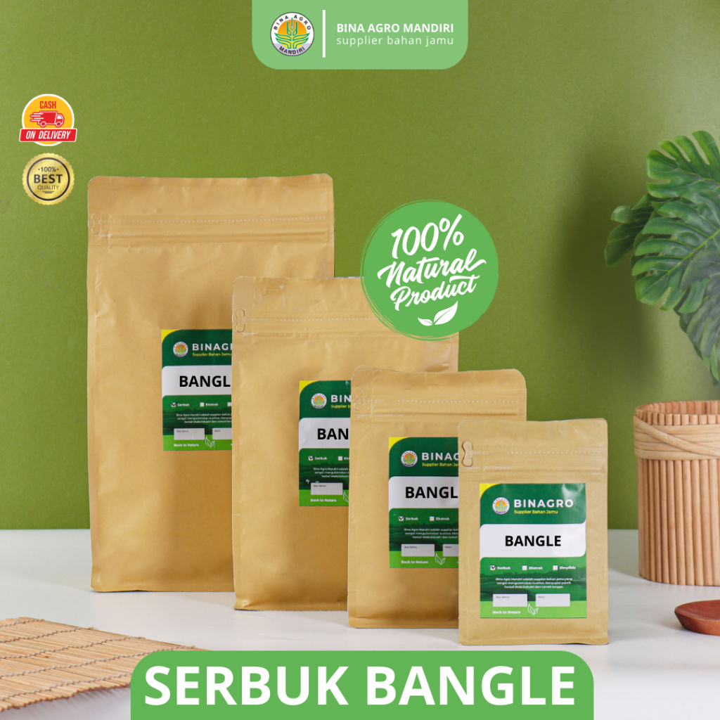 Jual BANGLE Bengle Serbuk Bubuk Jamu Murni Tanpa Campuran 100gr 250gr ...