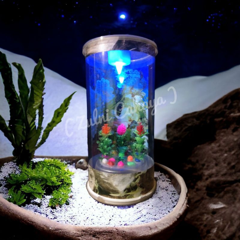 Jual Aquarium Mini Dilengkapi: Lampu Led Batray 3wat + Bunga + Batu ...