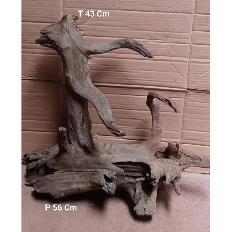 Jual kayu rentek ,Paludarium, & aquascape | Shopee Indonesia