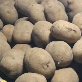 Jual Kentang dieng kuning besar 1kg | Shopee Indonesia