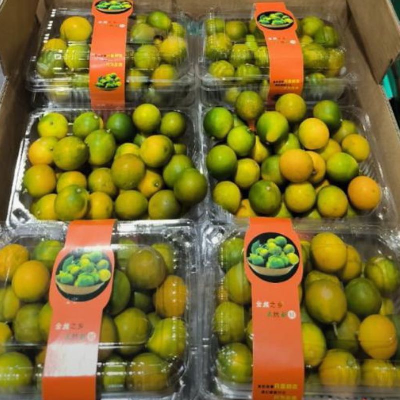 Jual Jeruk Kumquat Kimqit Kimkit Berat 400 Gr/Pack | Shopee Indonesia