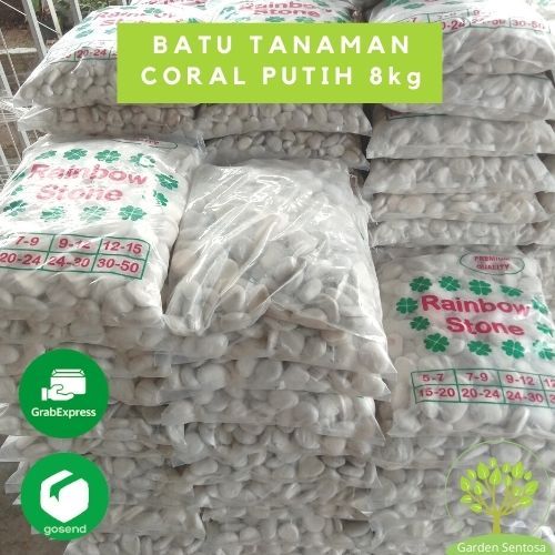 Jual Batu Hias Coral Putih 1plastik Besar 8kg | Shopee Indonesia